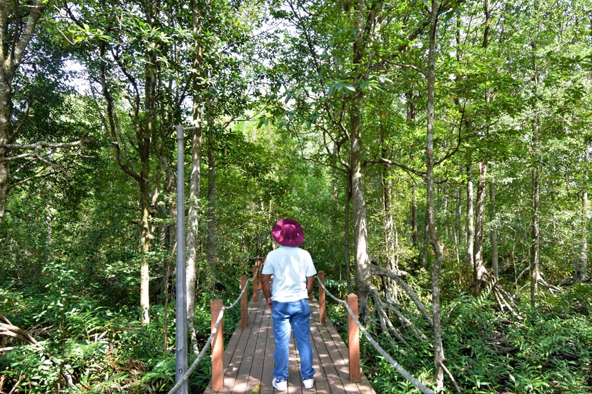 Homepage | The Simple Travel