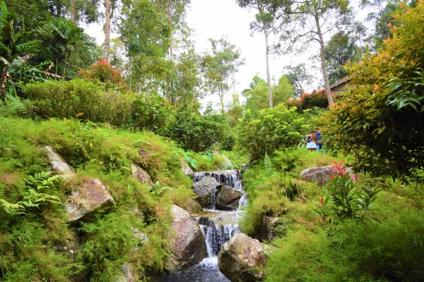 11 Best Waterfalls in Perak