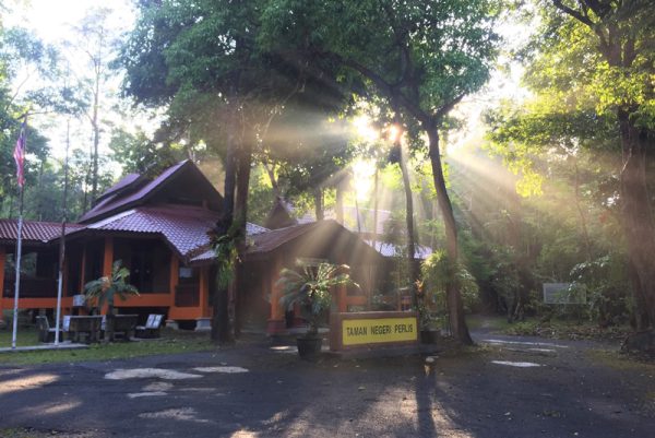 Your Ultimate Guide to the Top 20 Attractions in Perlis | The Simple ...