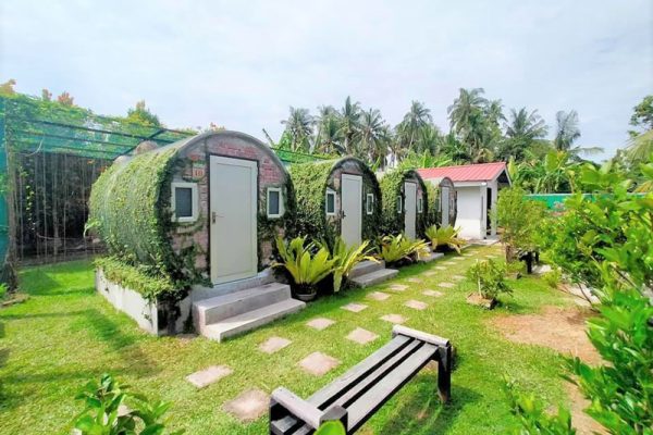 The Top 8 Sekinchan Homestays with Beautiful Paddy Field Views | The ...