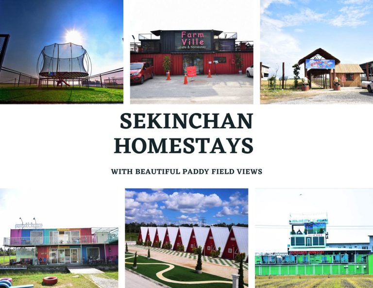 The Top 8 Sekinchan Homestays with Beautiful Paddy Field Views | The ...