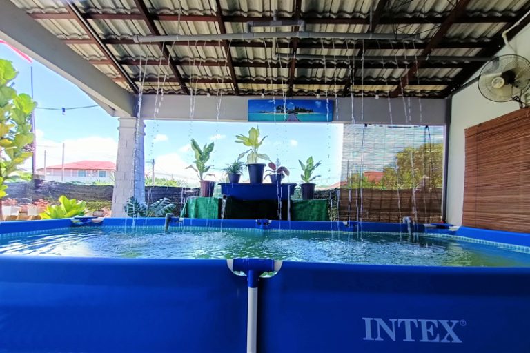 The Top 15 Homestays With Private Pools in Melaka in 2022 | The Simple ...