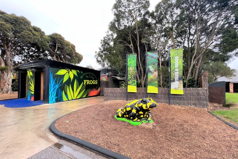 All You Need to Know About Melbourne Zoo | The Simple Travel 2025