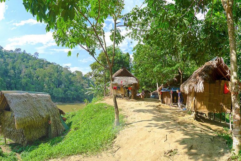 The best of Taman Negara: explore the world’s oldest rainforest | The ...