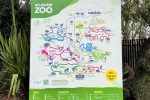 All You Need to Know About Melbourne Zoo | The Simple Travel 2025