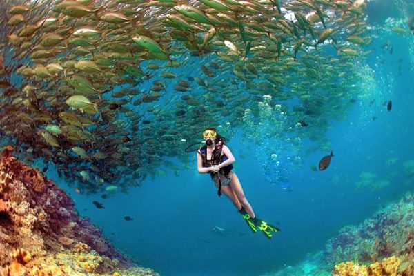 The Top 12 Popular Diving Spots in Malaysia You Must Visit | The Simple ...