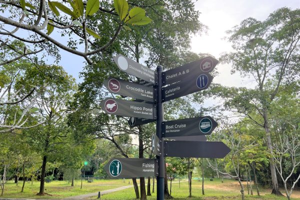 The Best Paya Indah Wetlands Tour Details and Ecological Value | The ...