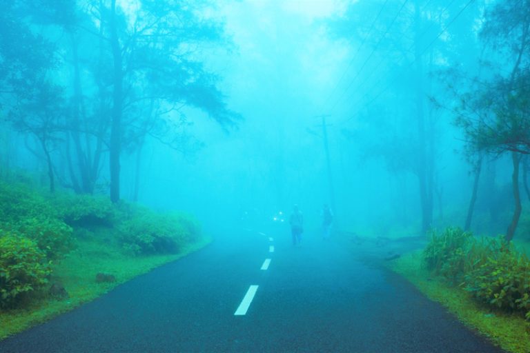 Top 10 Things to Do When Traveling to Shimla: Shimla Travel Guide