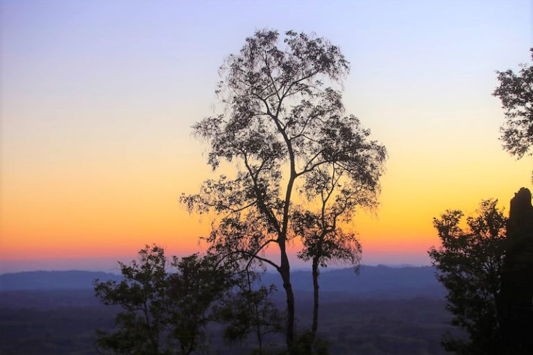 How to Explore Sajek Valley, The Kingdom of Clouds | The Simple Travel 2025