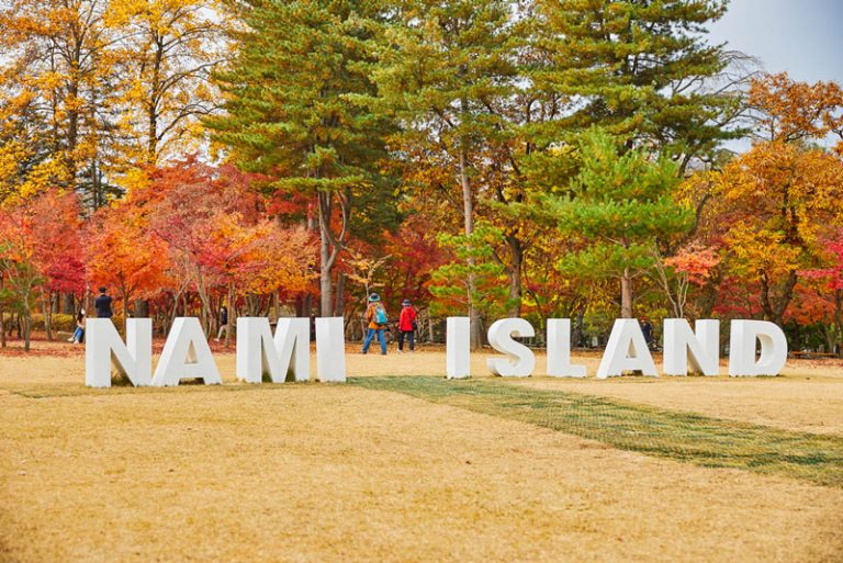 Day Trip to Nami Island: Plan the Best Day Trip to Gapyeong