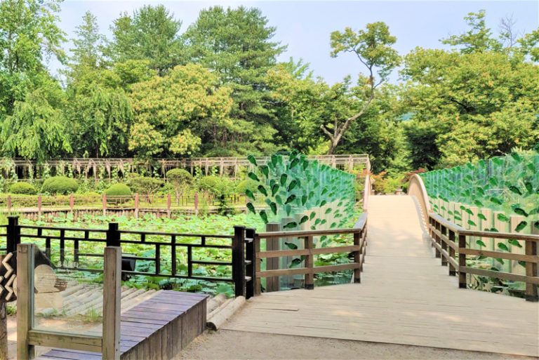 Day Trip to Nami Island: Plan the Best Day Trip to Gapyeong