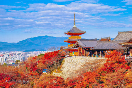 10-Day Japan Itinerary: Exploring Tokyo, Kyoto, and Osaka | The Simple ...