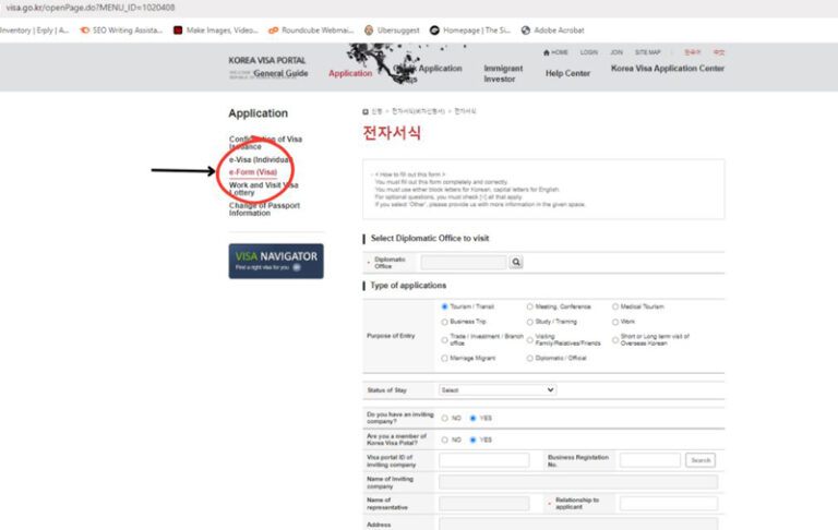 Easy Steps to Get Your South Korea Tourist Visa: Essential Requirements ...